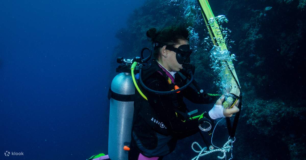 峇裡島 Padi 高級開放水域潛水員與 Padi 5 星級潛水度假村 Klook 客路